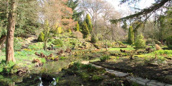 Fletcher Moss Park | CityDays