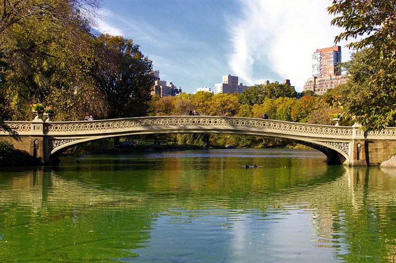 Bow Bridge Central Park - New York City, United States