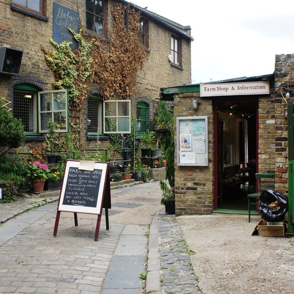 Hackney City Farm | CityDays