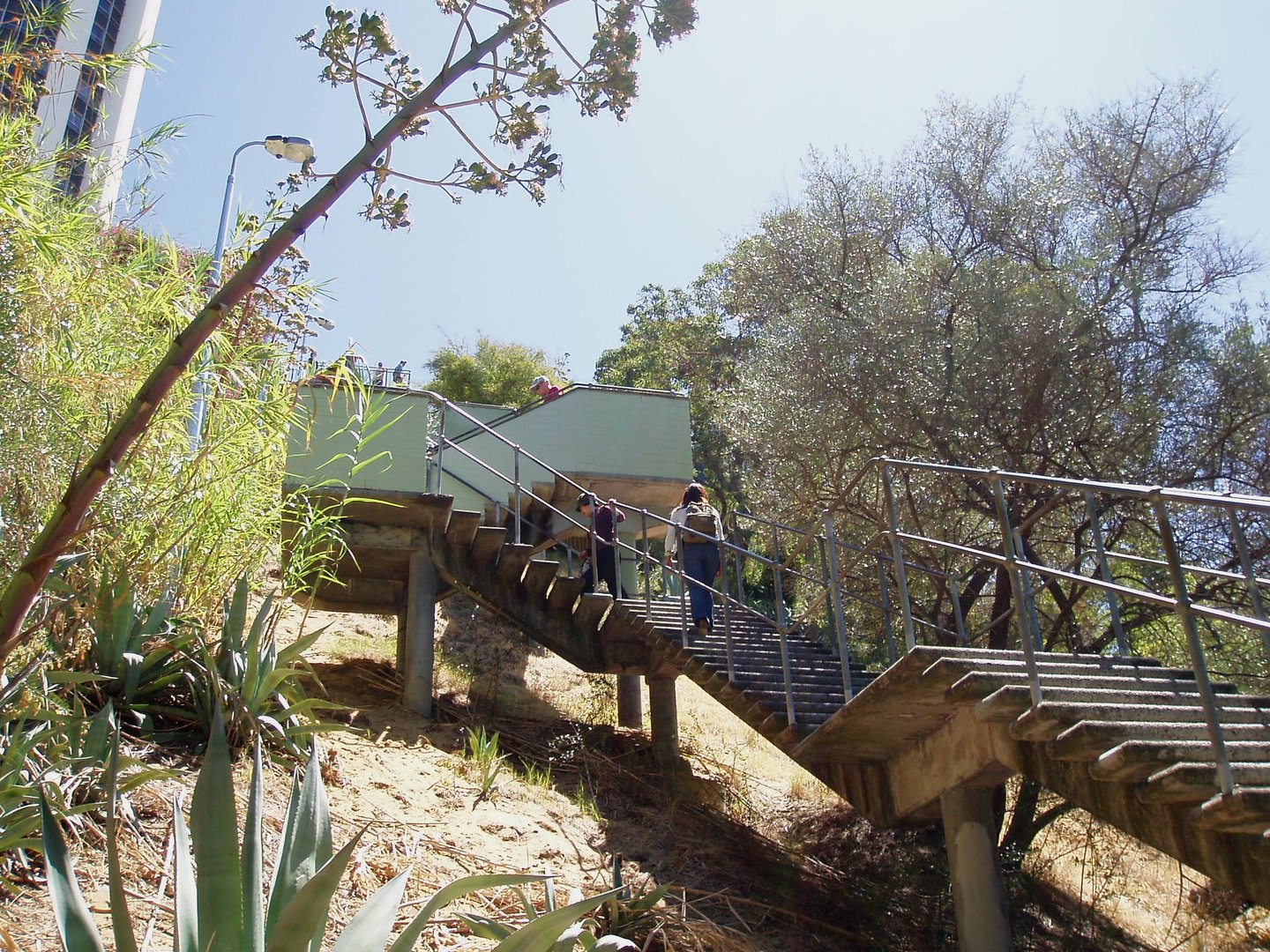 Jacob’s Ladder Perth - Perth, Australia | CityDays
