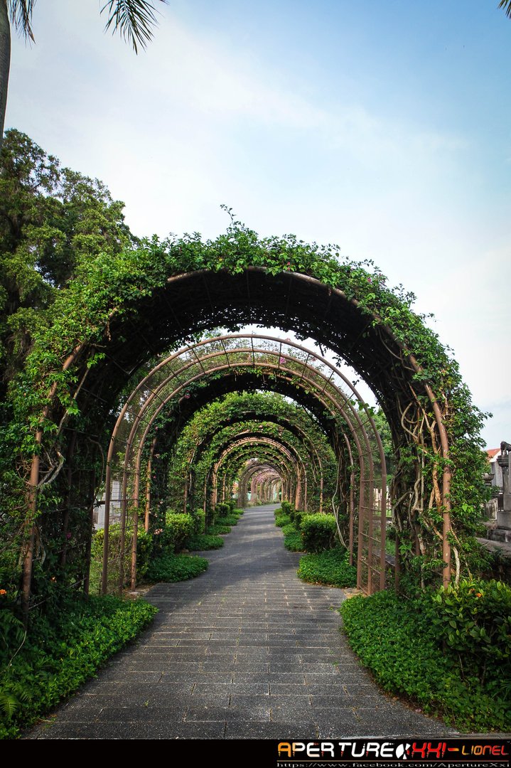 Japanese Cemetery Park | CityDays
