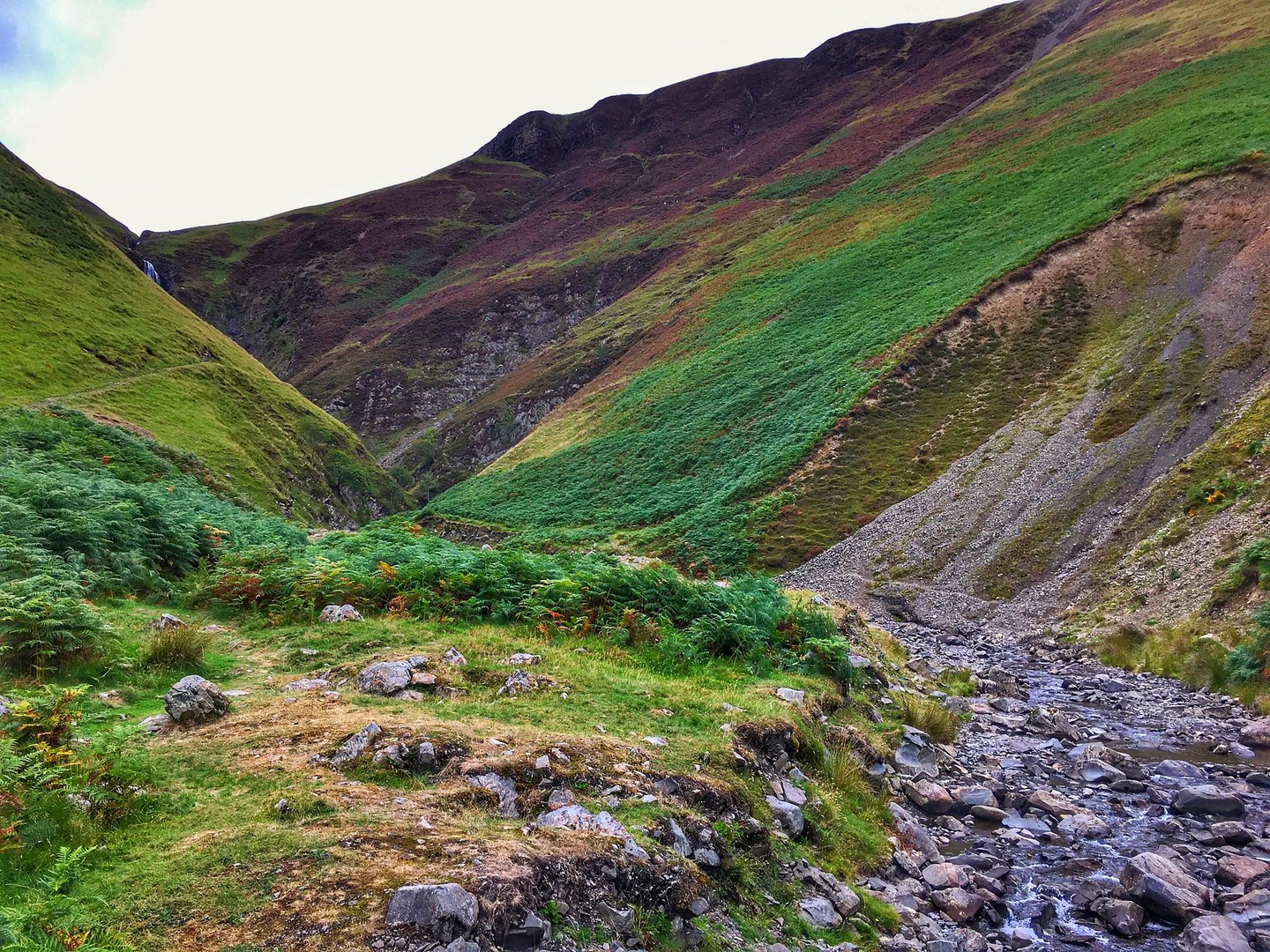 Loup of Fintry | CityDays