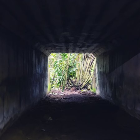 Marsiling Tunnel | CityDays