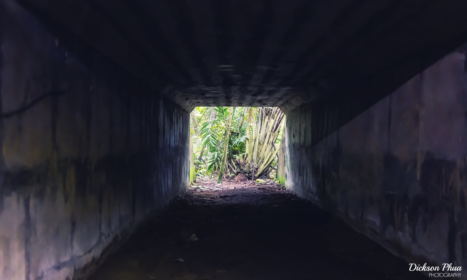 Marsiling Tunnel | CityDays