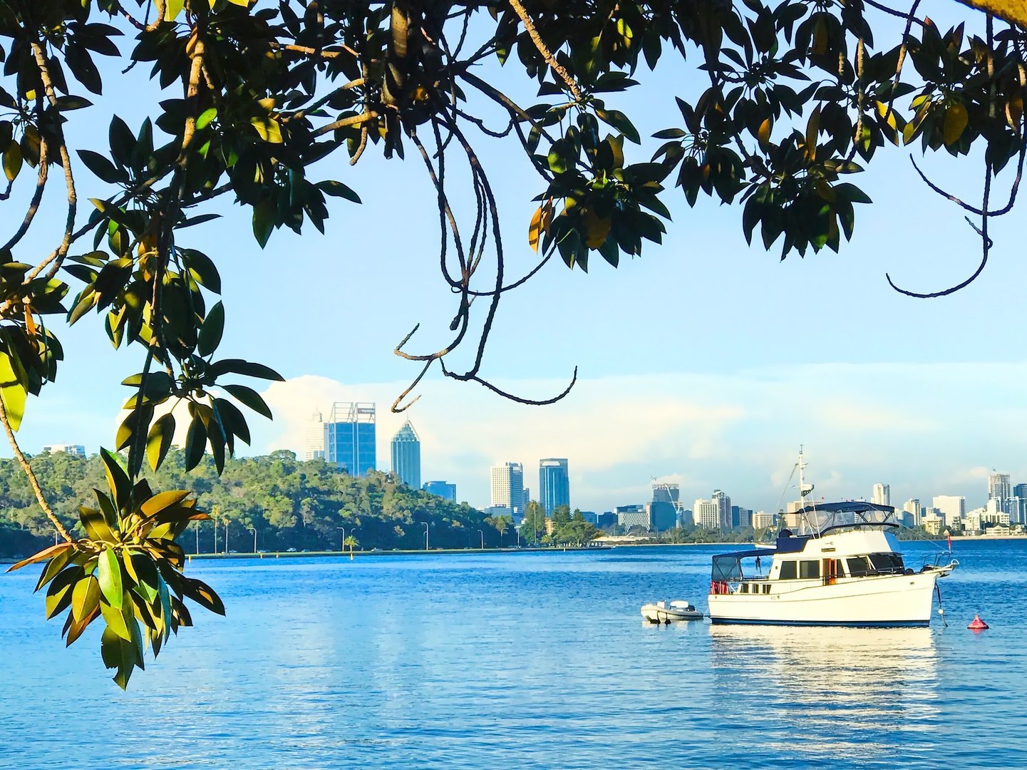 Matilda Bay Reserve - Perth, Australia | CityDays