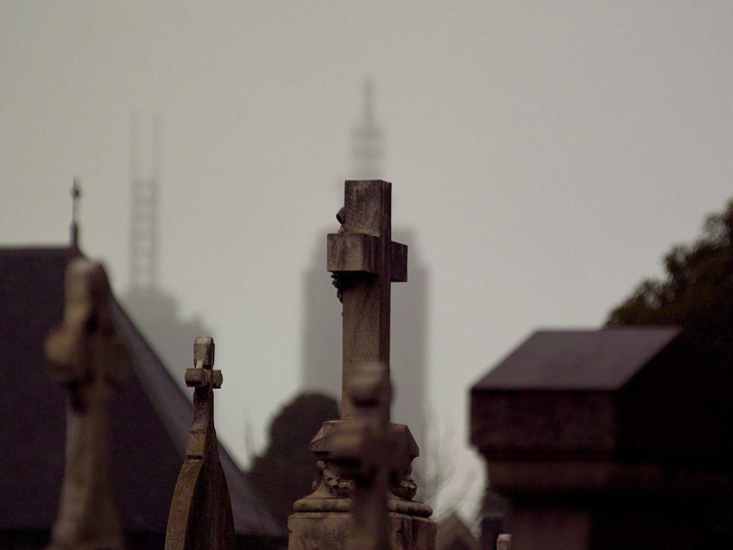 Melbourne General Cemetery - Melbourne, Australia | CityDays