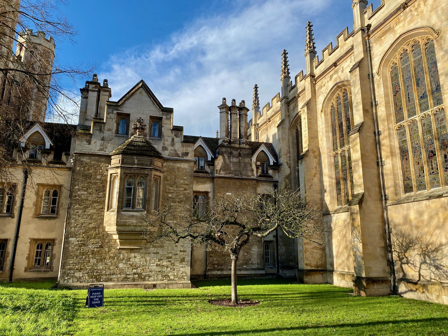 Newton's Apple Tree | CityDays