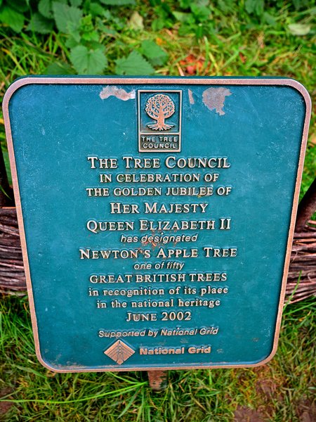 Newton's Apple Tree | CityDays