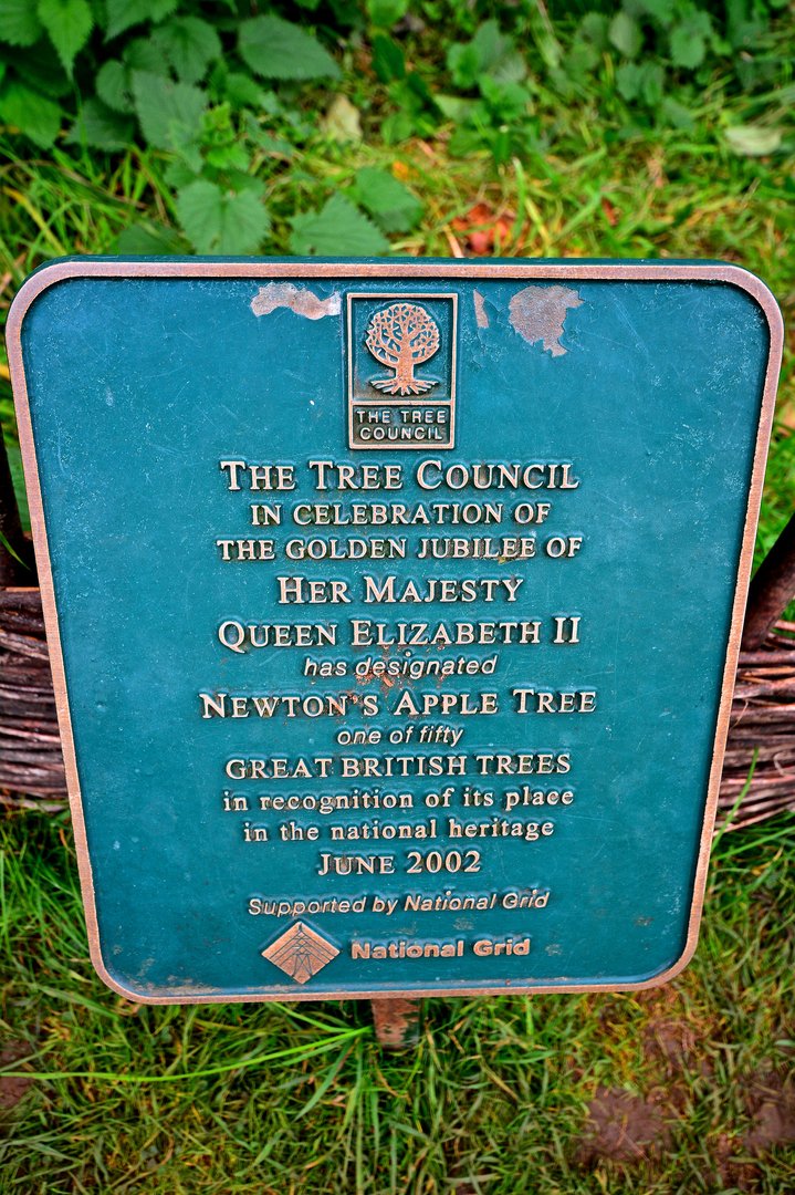Newton's Apple Tree | CityDays