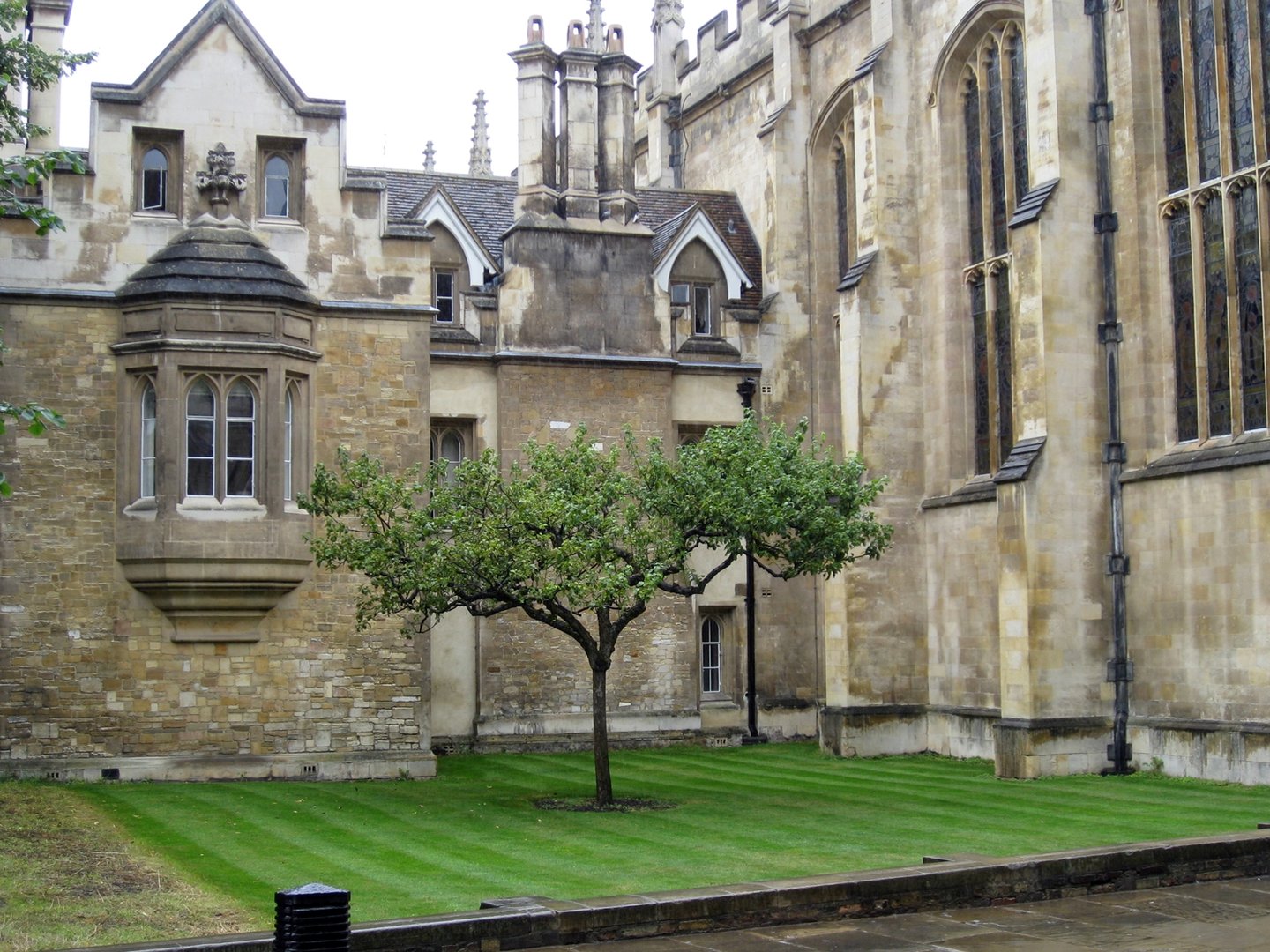 Newton's Apple Tree | CityDays