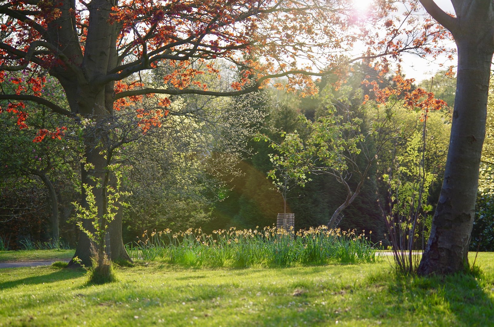 Nottingham Arboretum | CityDays