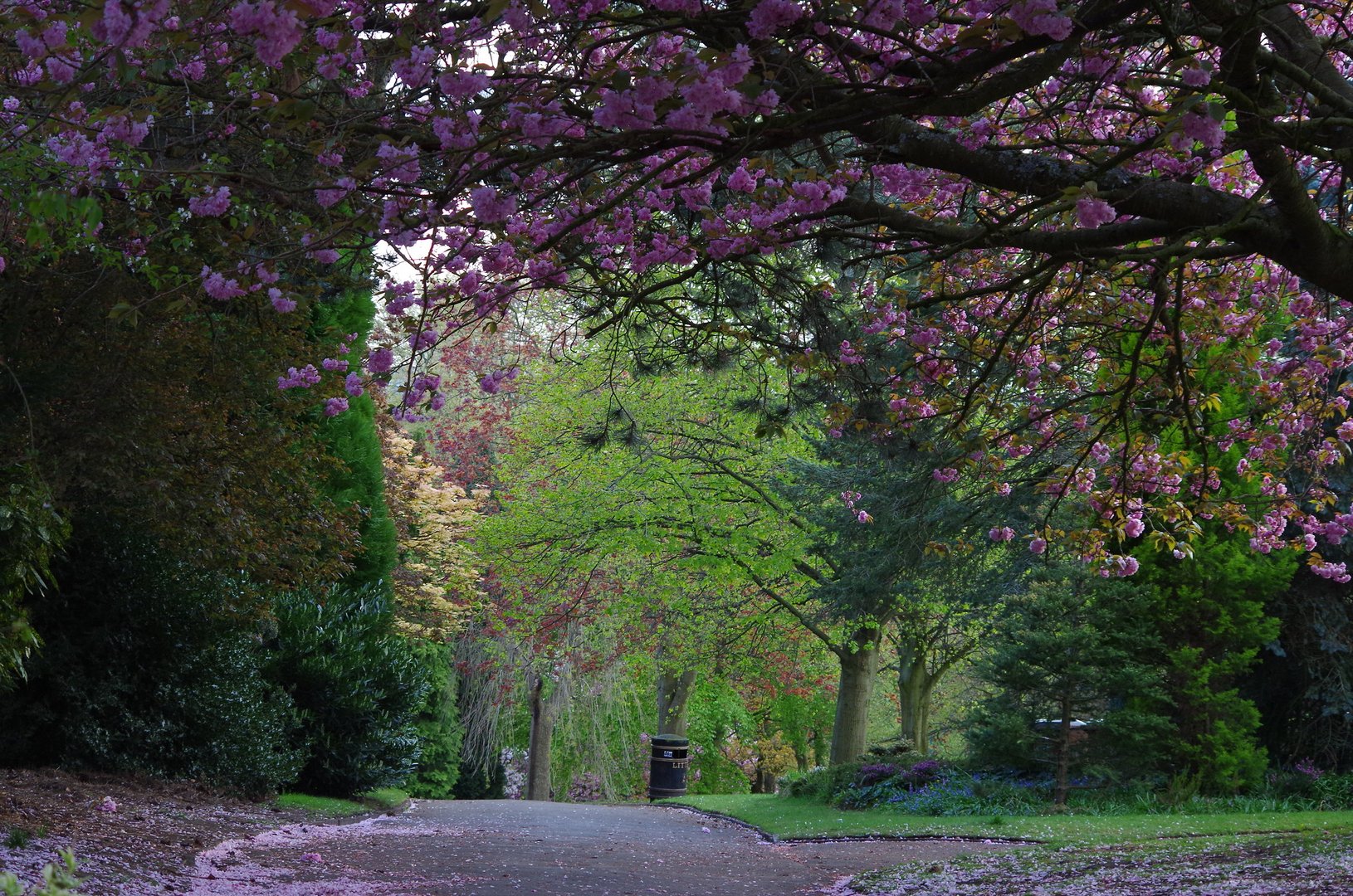 Nottingham Arboretum | CityDays