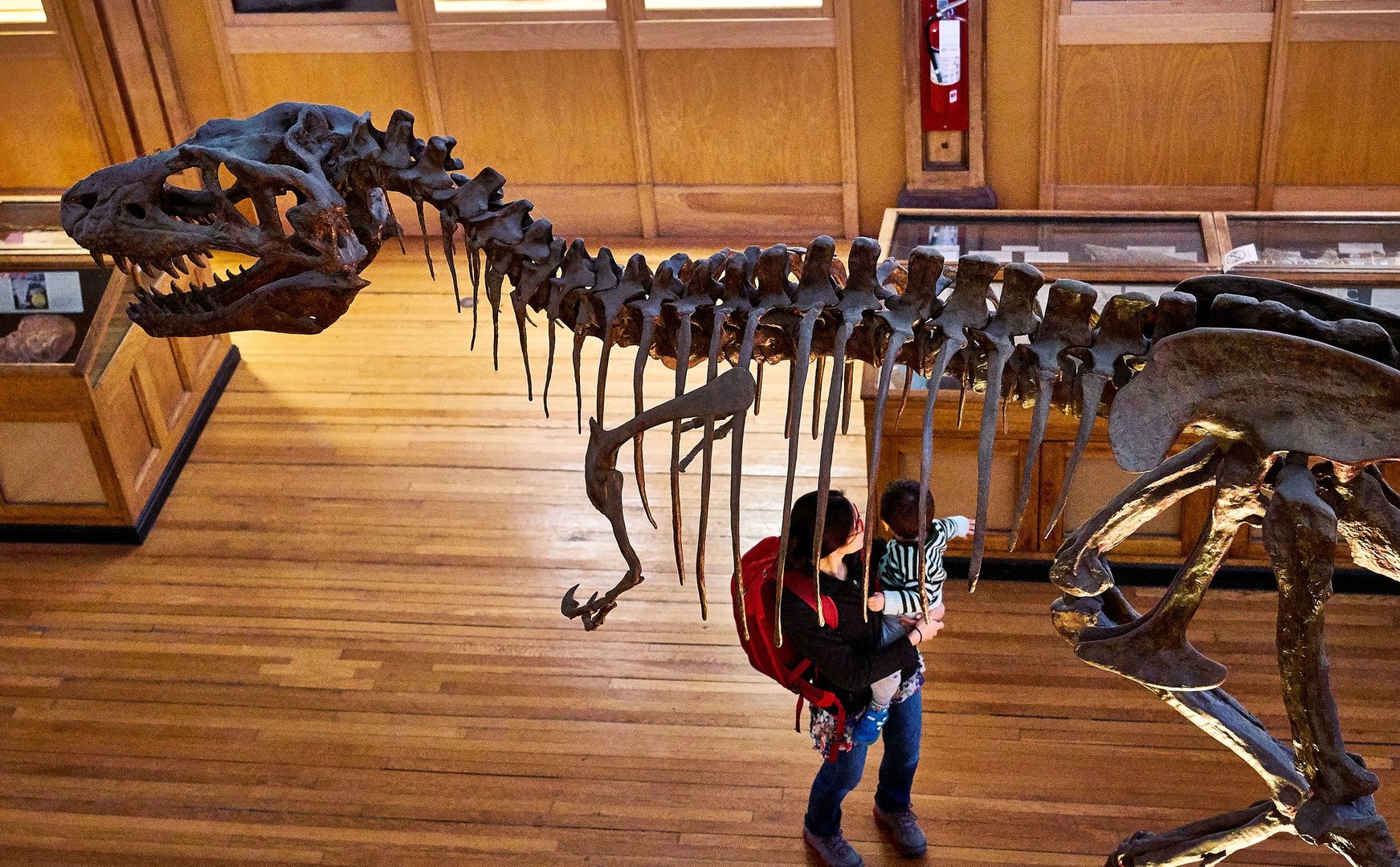 Redpath Museum | CityDays