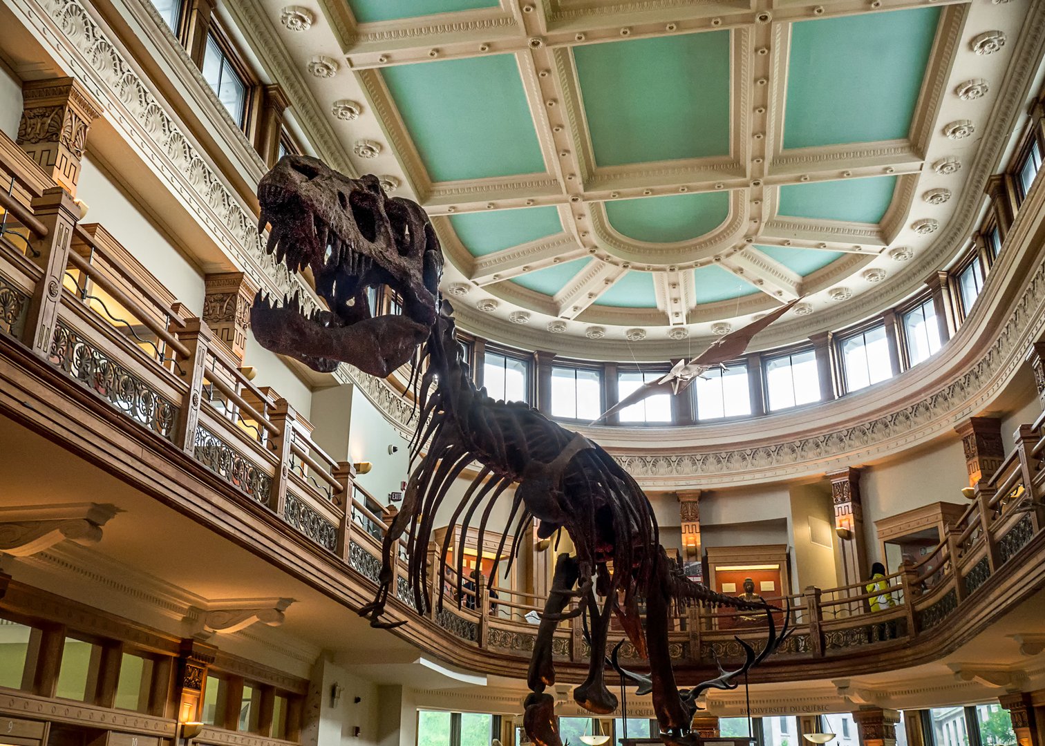 Redpath Museum | CityDays