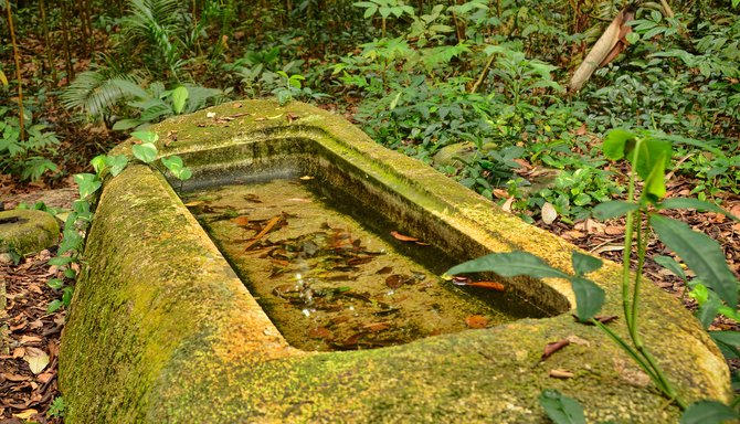 The Ruins of Syonan Jinja | CityDays