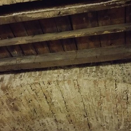 Seattle Underground | CityDays