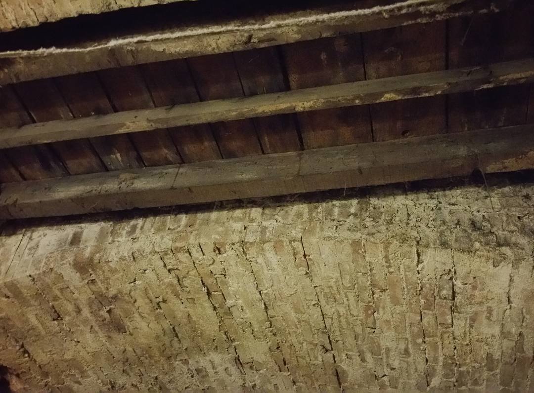 Seattle Underground | CityDays