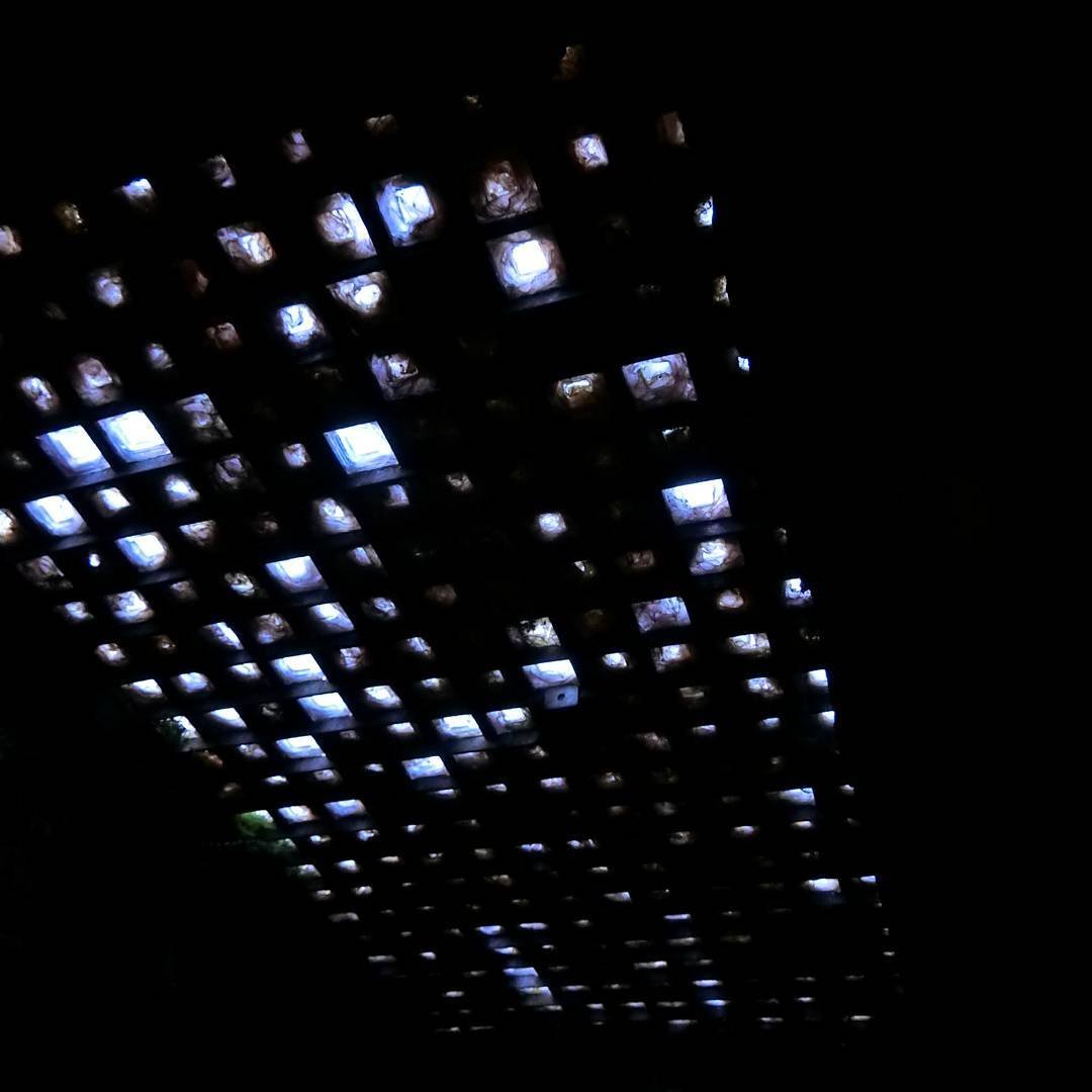 Seattle Underground | CityDays