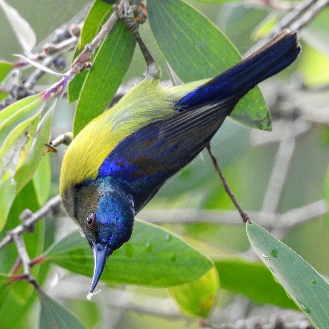 Sungei Buloh Wetlands Reserve | CityDays