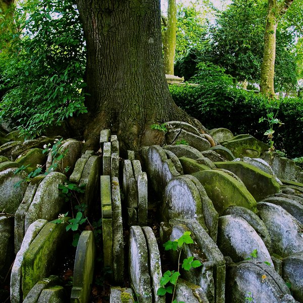 St Pancras Old Church: A Tale of History, Hardy & Hijinks | CityDays