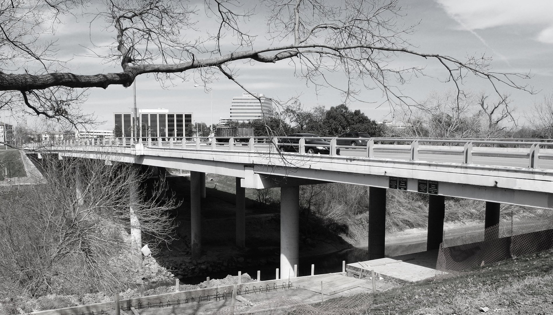 Waugh Drive Bat Colony - Houston, United States | CityDays