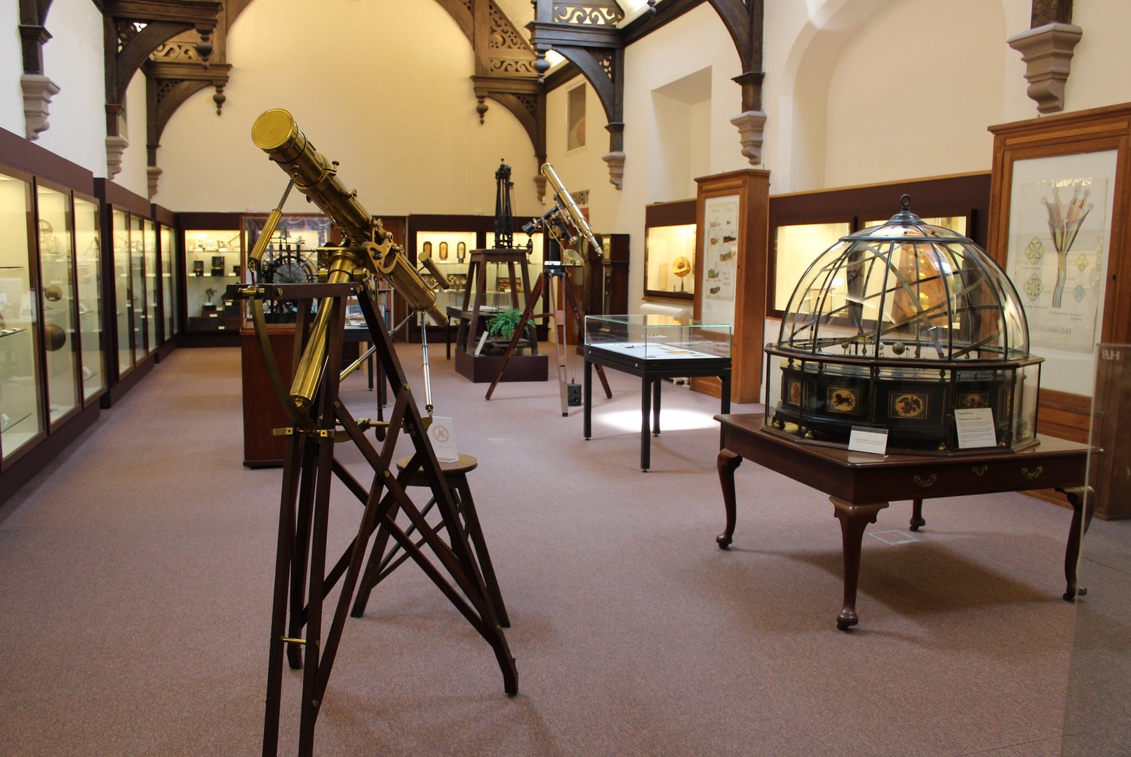 Whipple Museum | CityDays