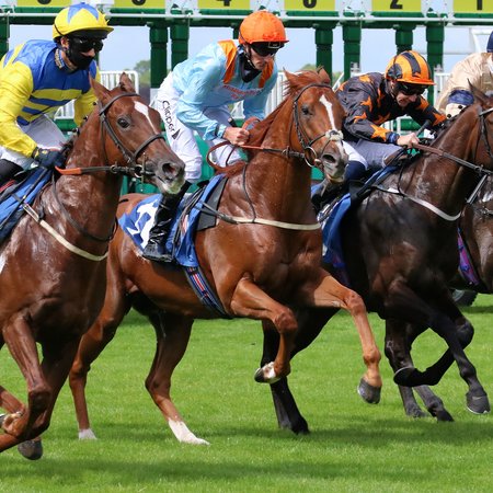 York Races | CityDays